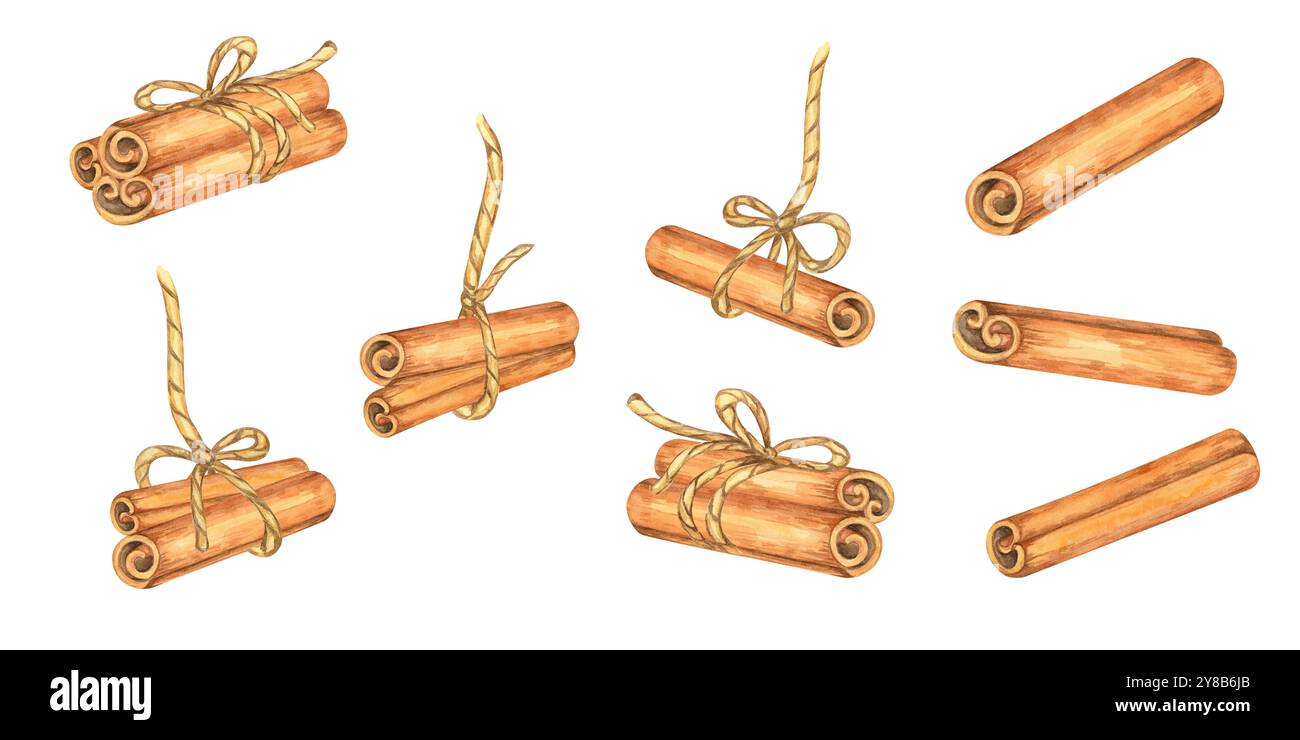 A collection of different cinnamon stick bundle tied with rustic bows ...