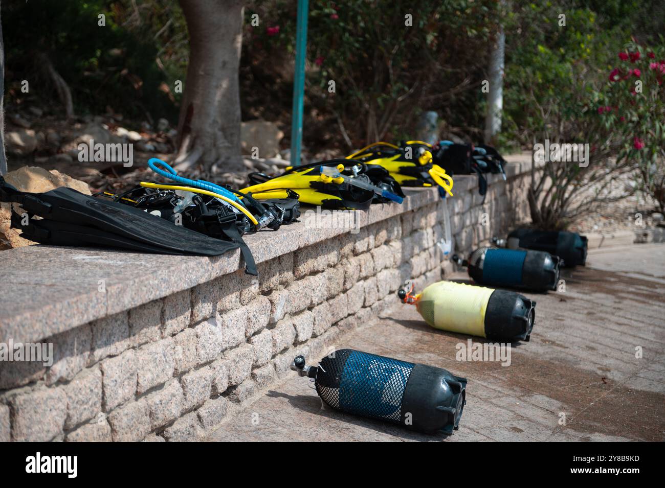 A collection of scuba diving gear, including tanks and fins, arranged ...