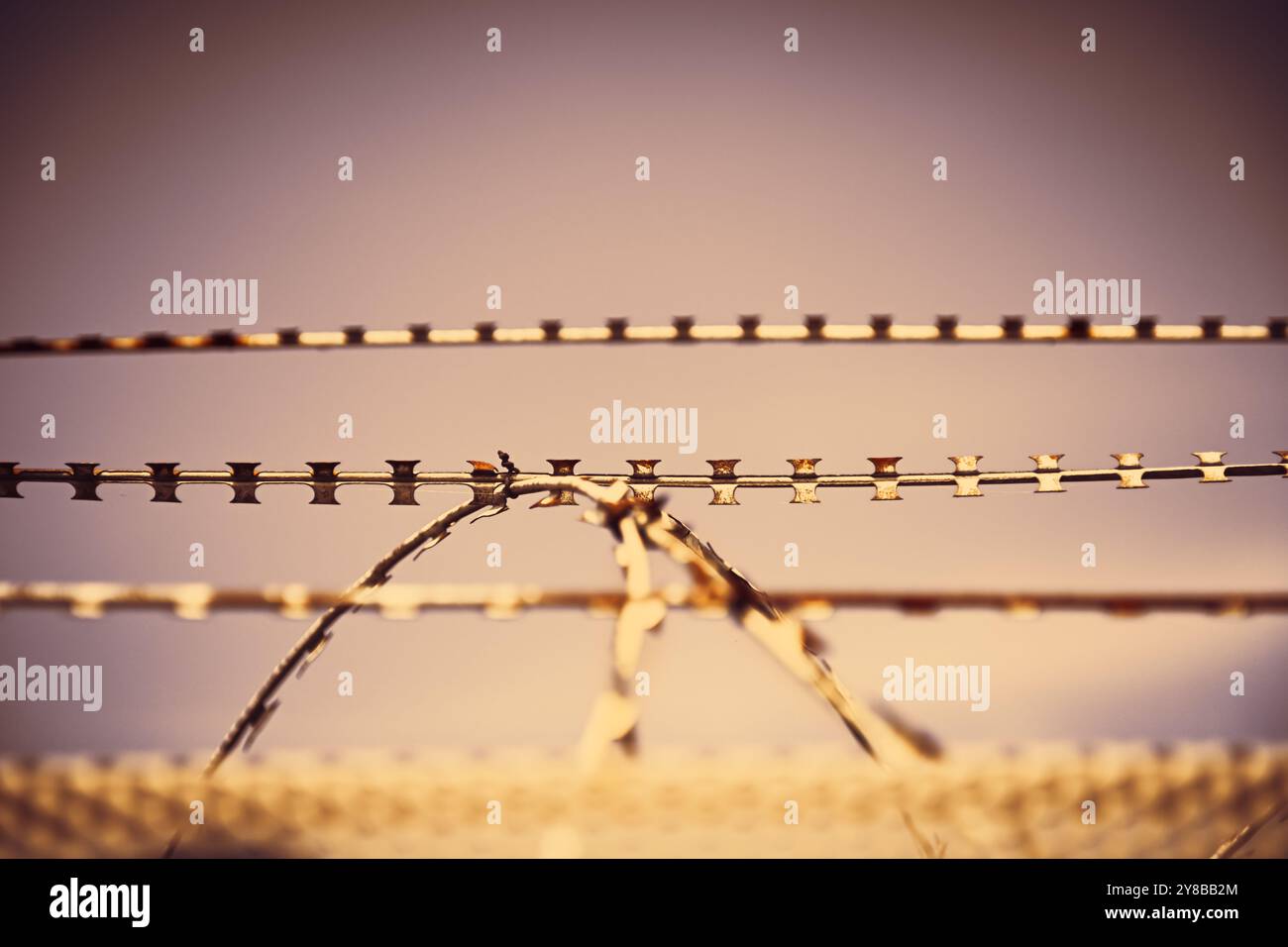 barbed wire, symbolic photo border, EU external borders, Stacheldraht ...