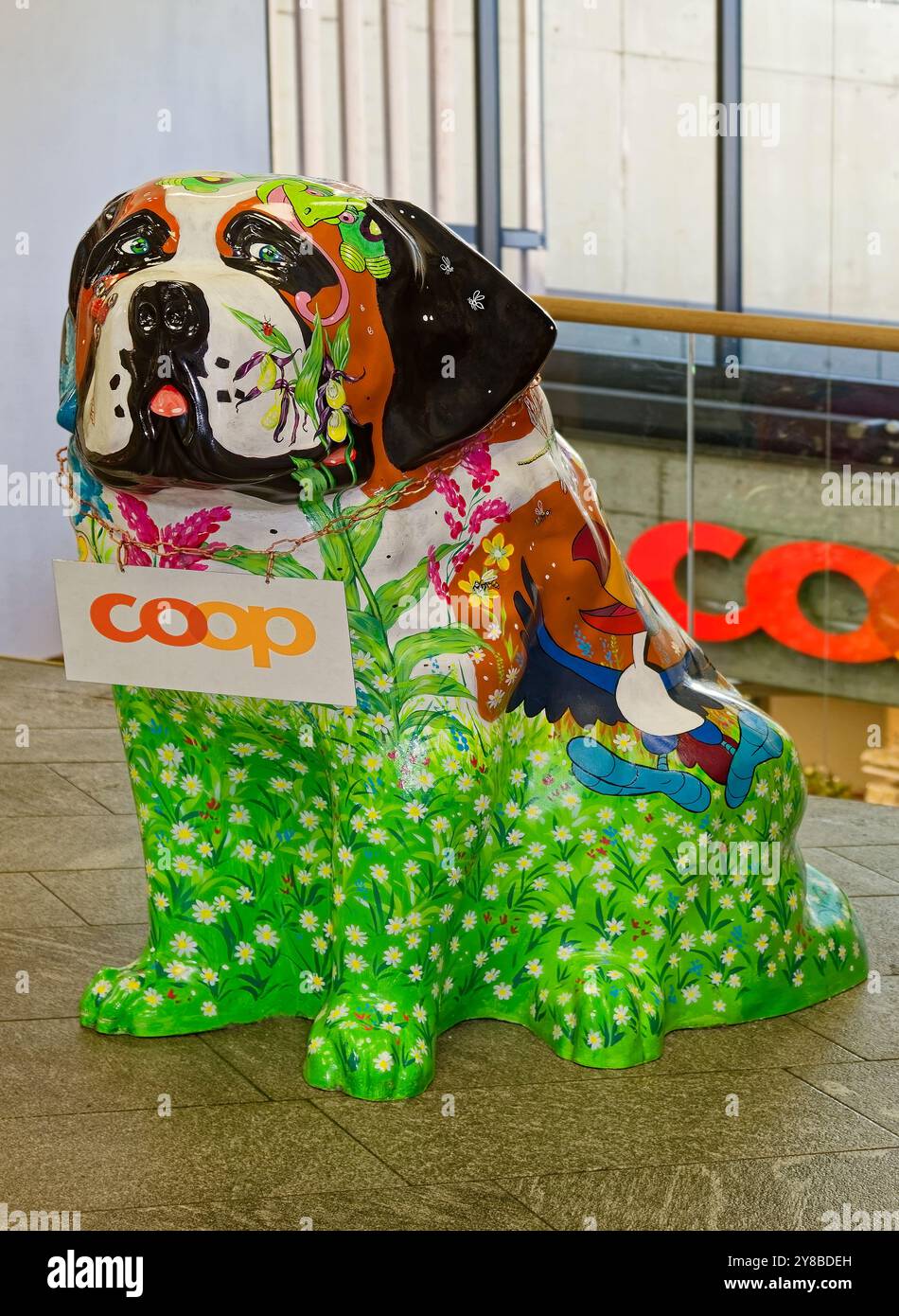 Coop sign around neck hi-res stock photography and images - Alamy
