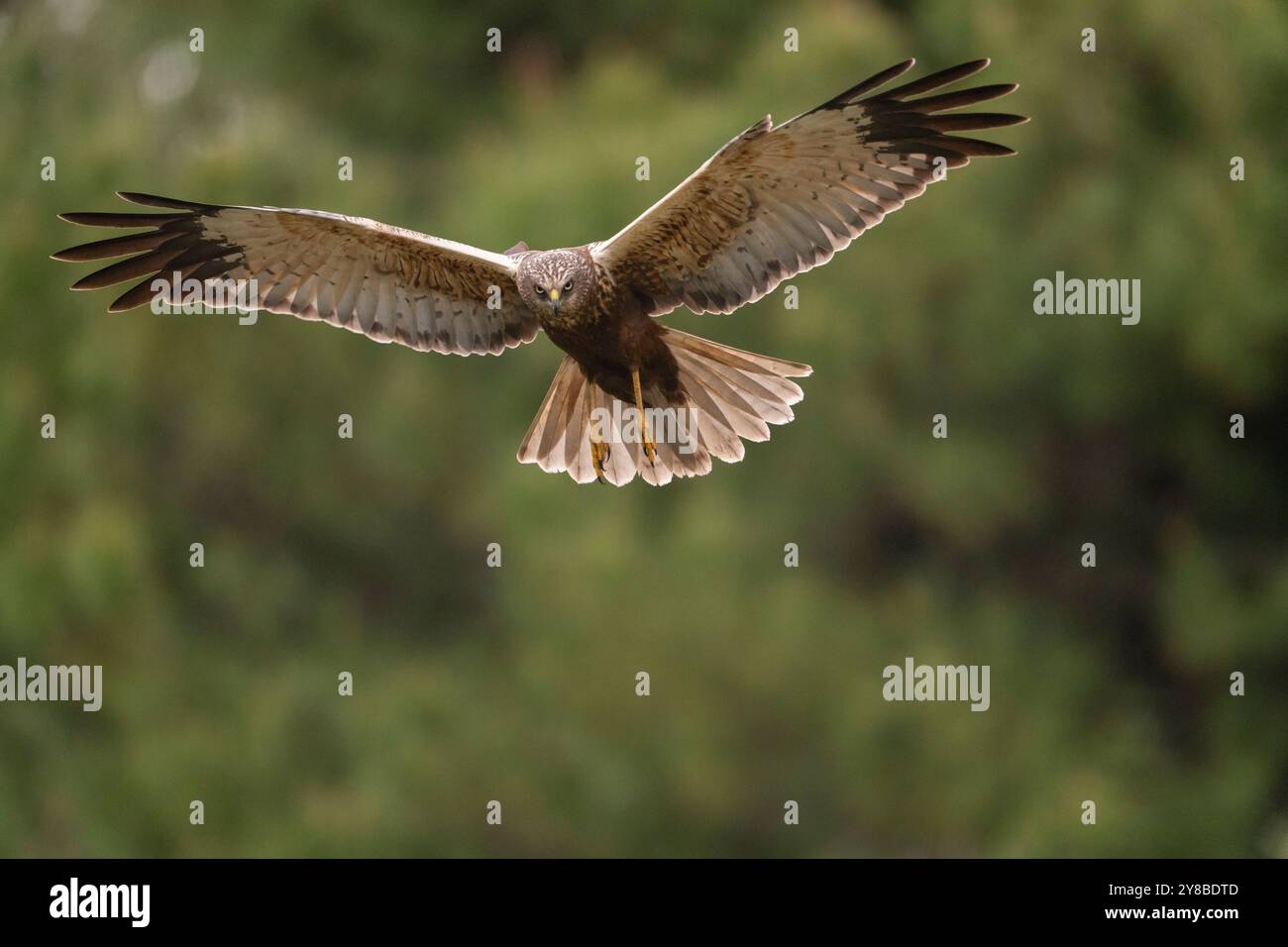 273423413 hi-res stock photography and images - Alamy