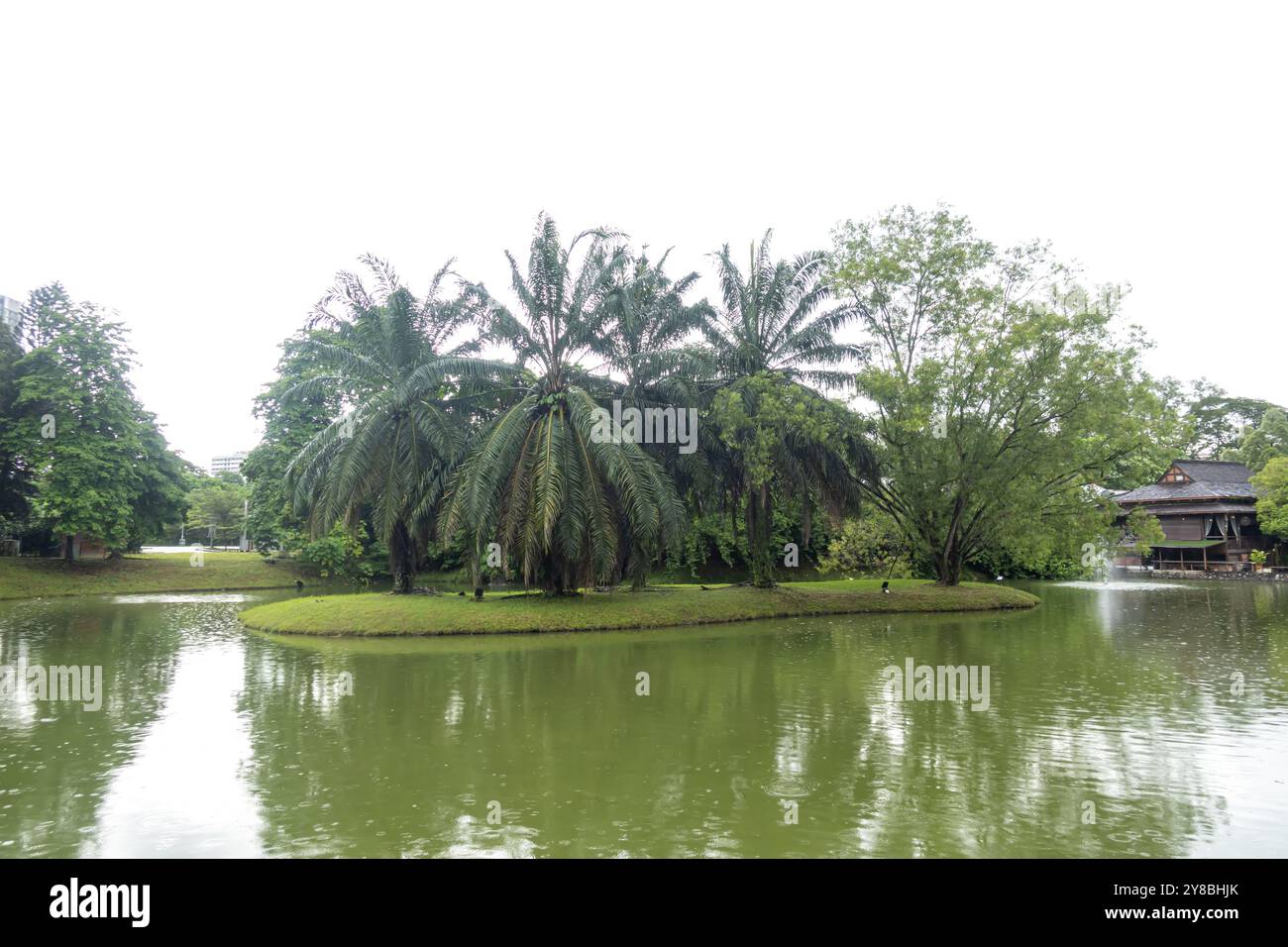 Sentul Park Koi Center, Kuala Lumpur, Malaysia Stock Photo - Alamy