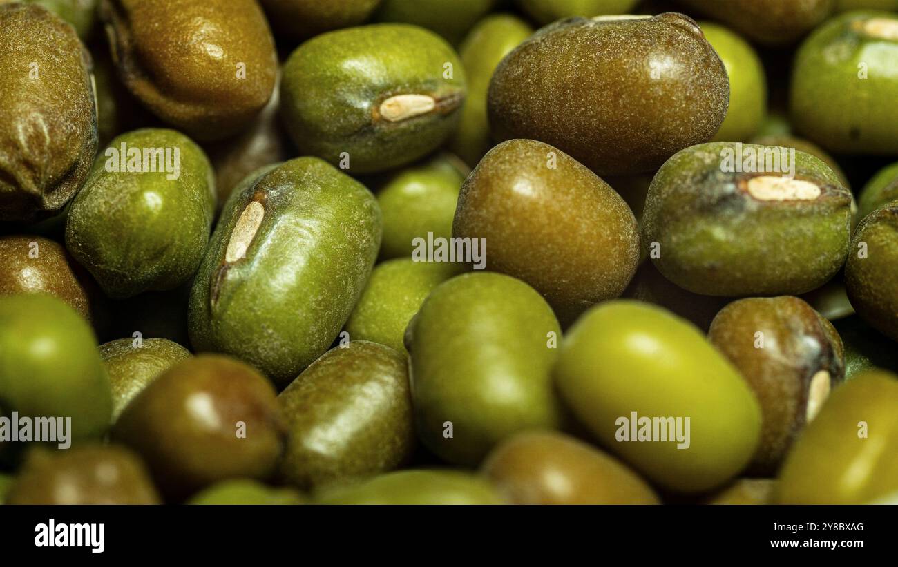 Mung bean or Vigna radiata seeds. Green gram close up , texture , macro ...