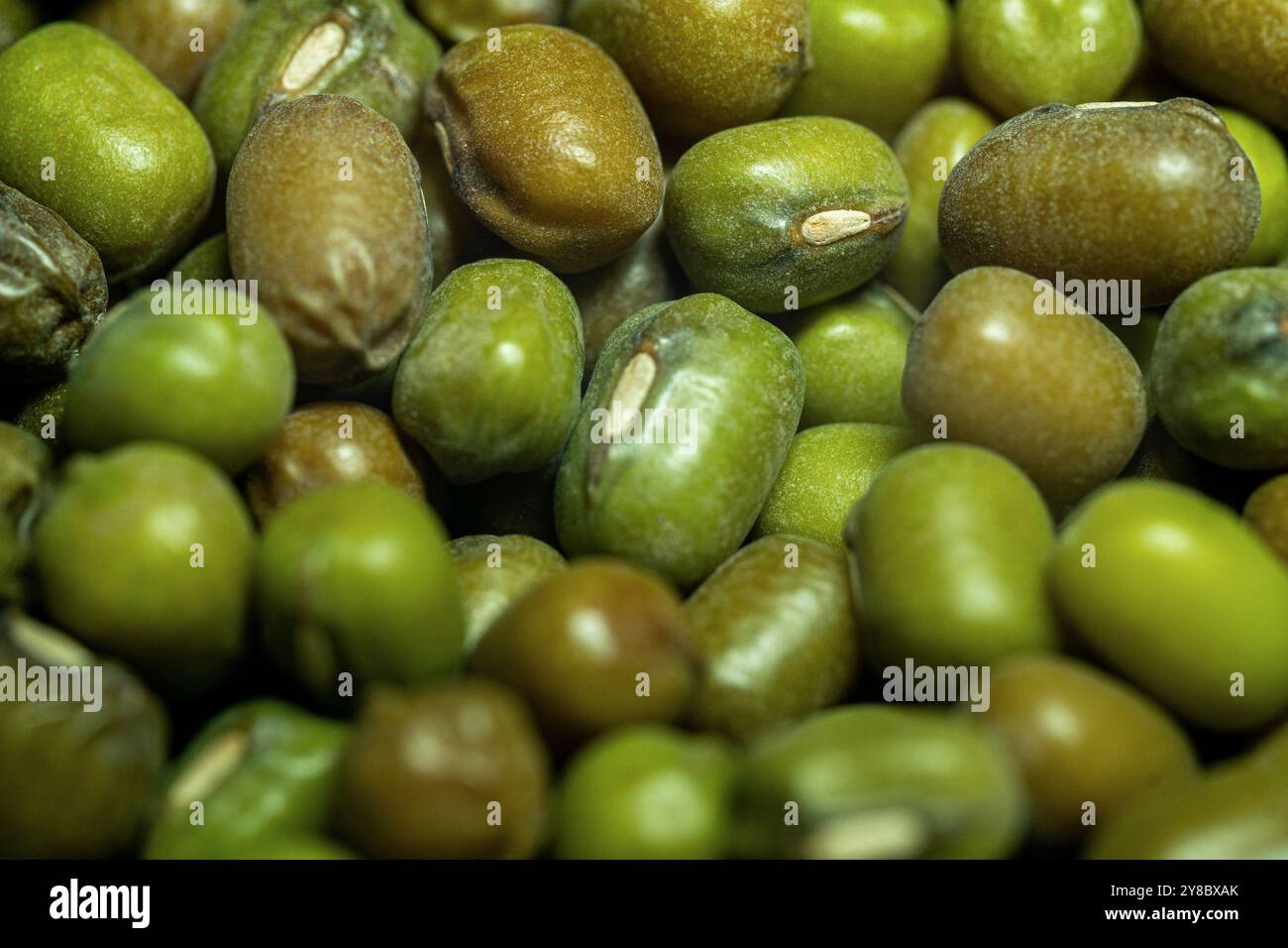 Mung bean or Vigna radiata seeds. Green gram close up , texture , macro ...