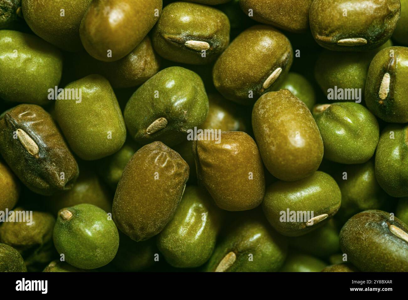 Mung bean or Vigna radiata seeds. Green gram close up , texture , macro ...