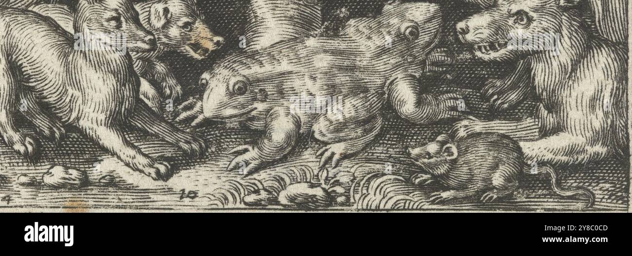 Two headed toad hi-res stock photography and images - Alamy
