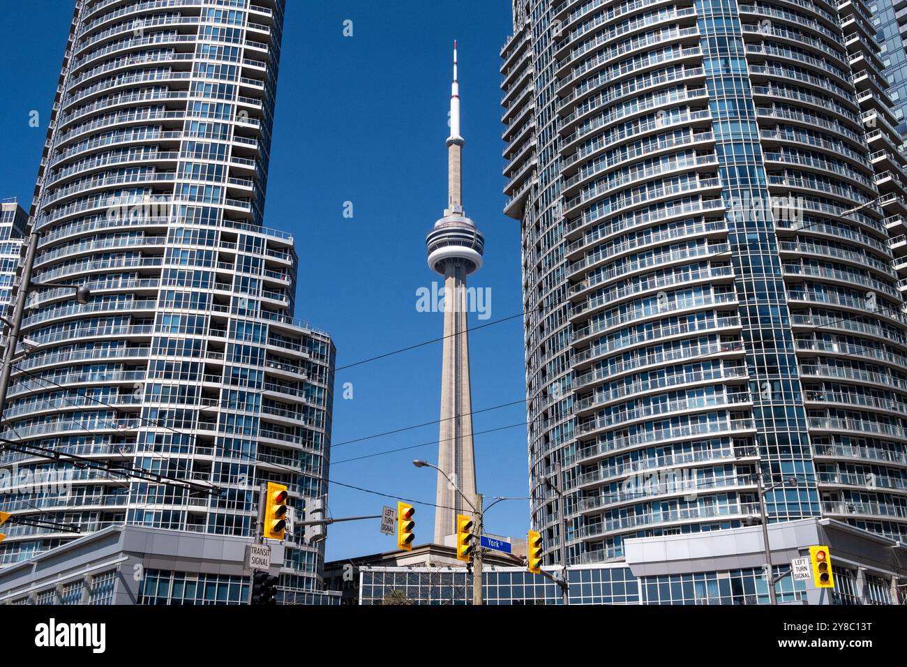 Cityscape with residential and office towers and the CN Tower, an ...