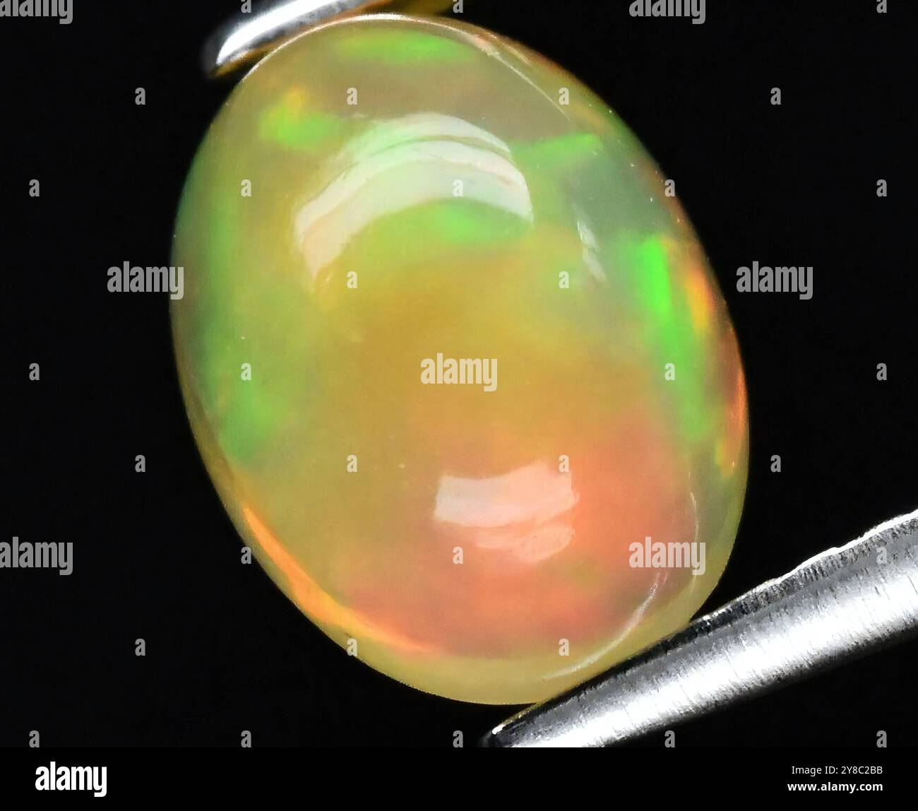 Radiant Ethiopian Opal Gemstone with Vibrant Play-of-Color Captured in ...