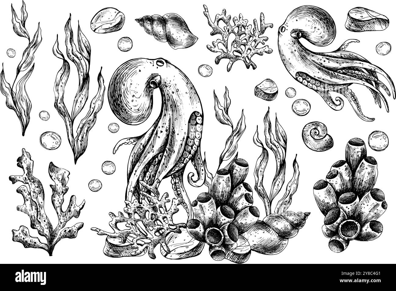 Underwater world clipart with sea animals octopus, shells, coral and ...