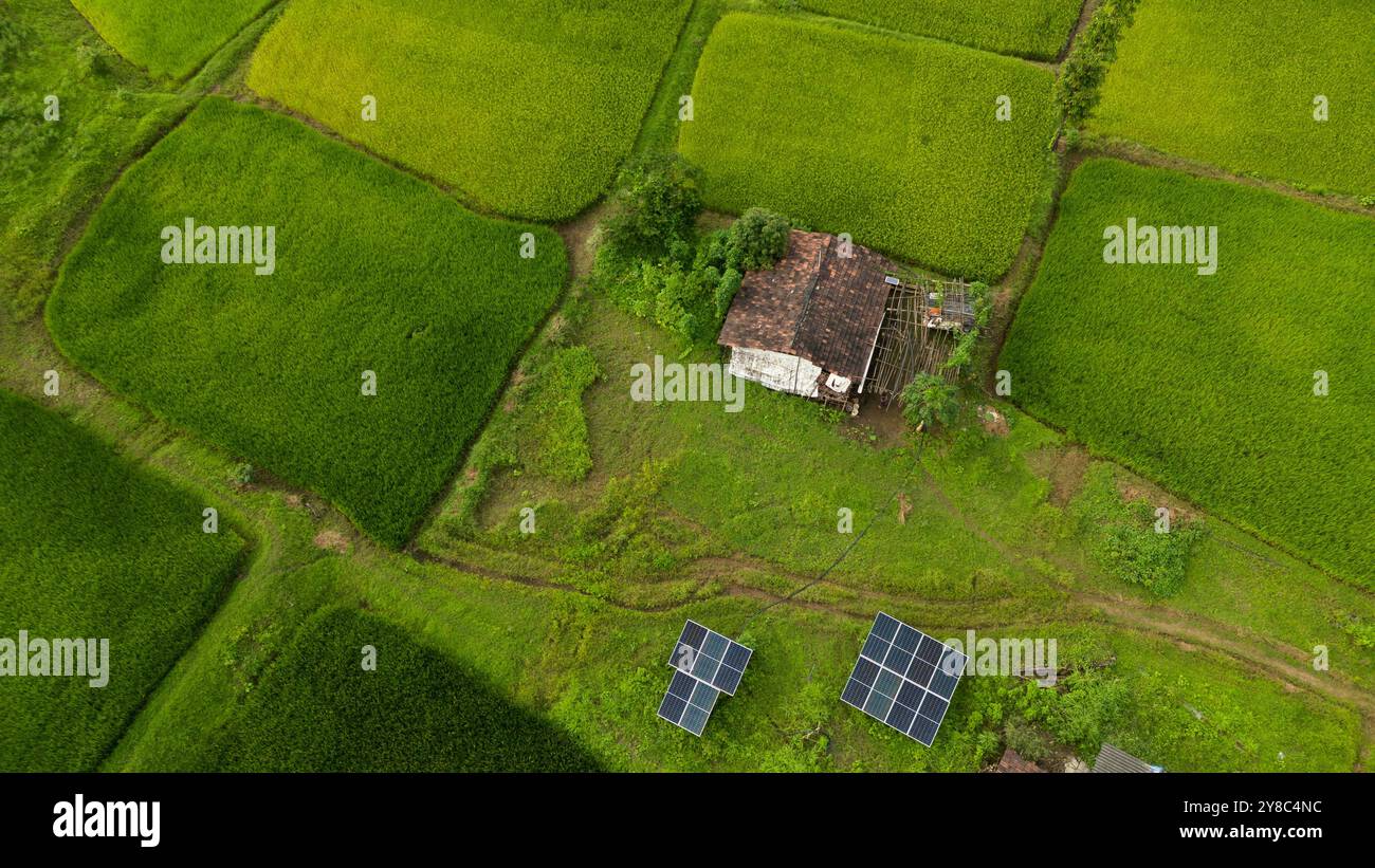 Aerial shot of Beautiful Farm land with village house. Peaceful village ...