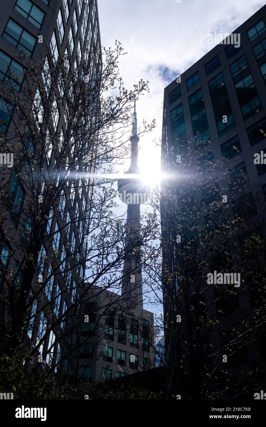 Cityscape with residential and office towers and the CN Tower, an ...