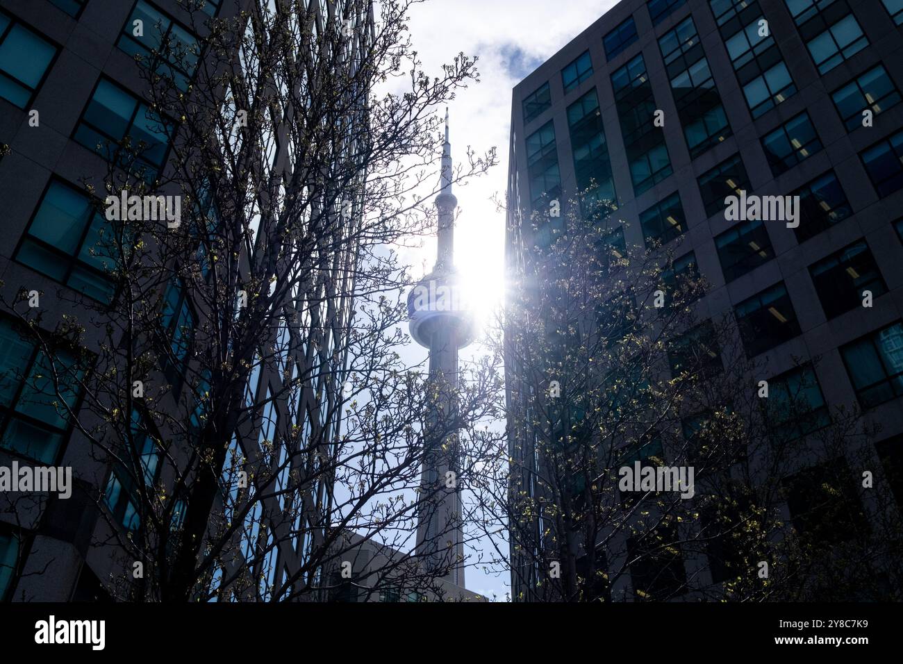 Cityscape with residential and office towers and the CN Tower, an ...