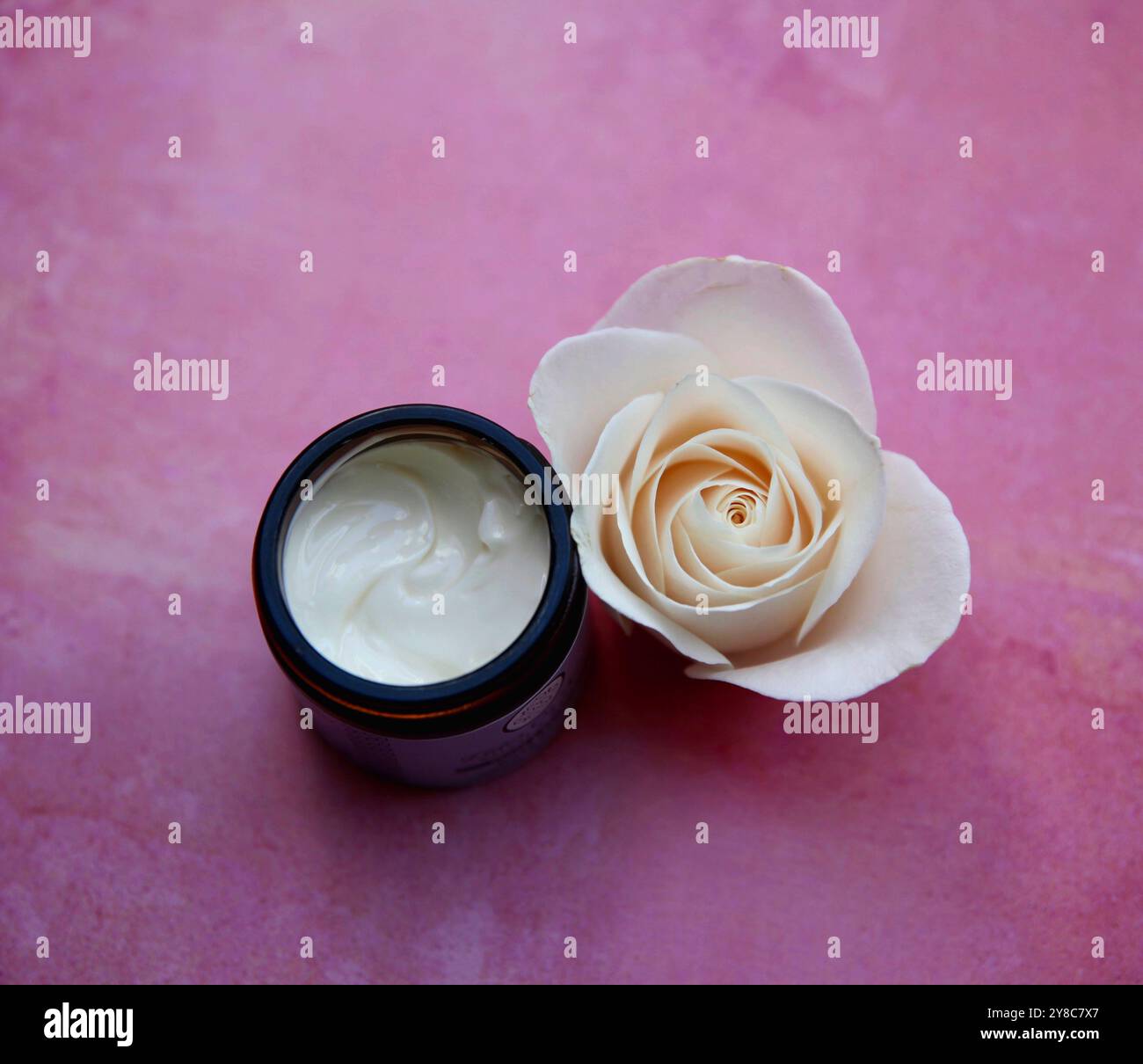 cream single rose and a jar of rich creamy moisturiser Stock Photo - Alamy