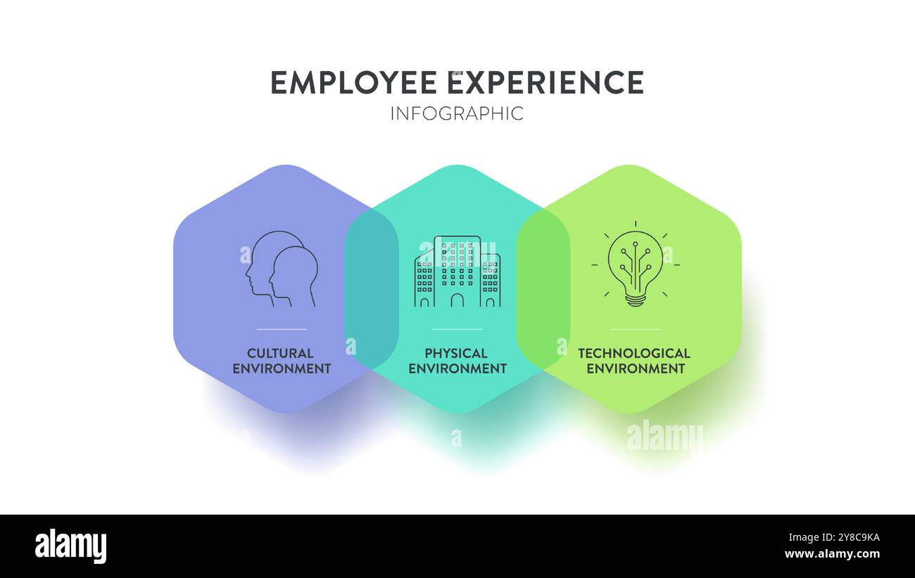 Employee Experience Environments strategy framework infographic diagram ...