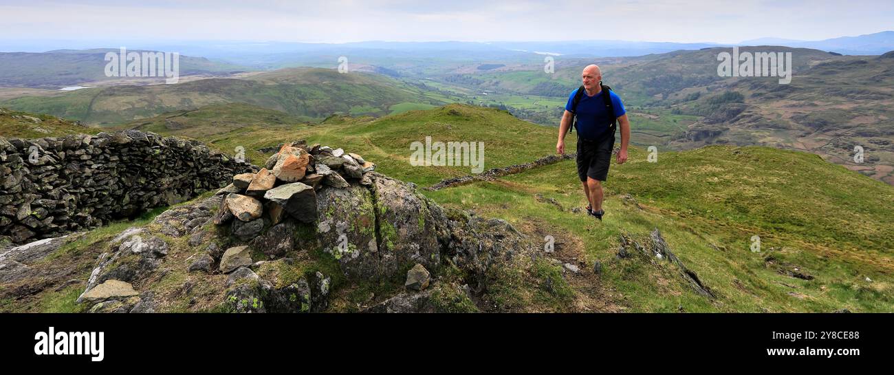 Walker at the Summit Cairn of Shipman Knotts fell, above the village of ...