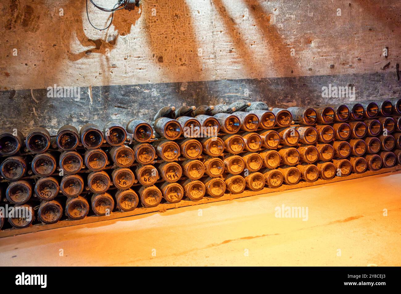 Visit of deep and long underground caves with dusty bottles on racks ...