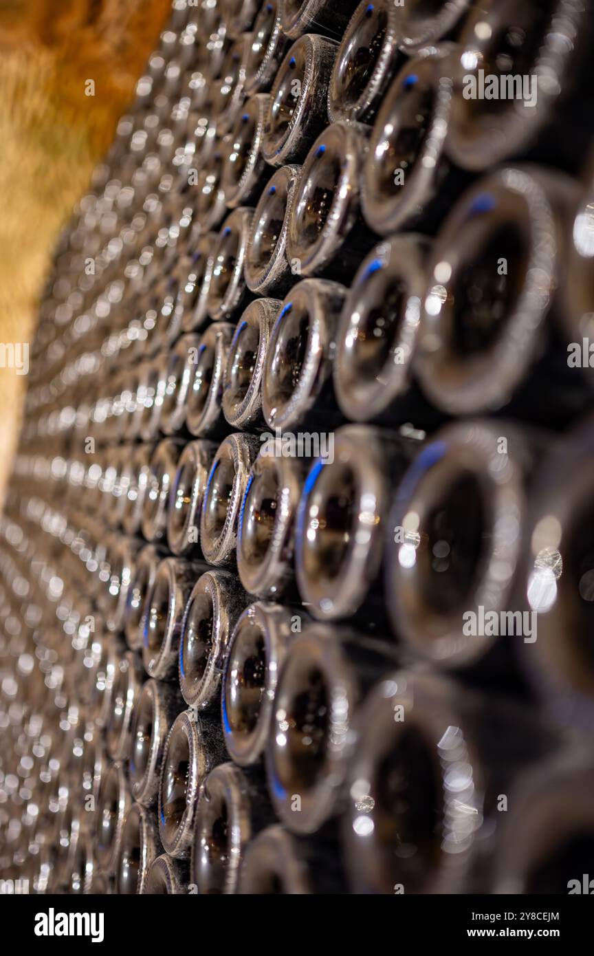 Visit of deep and long underground caves with dusty bottles on racks ...