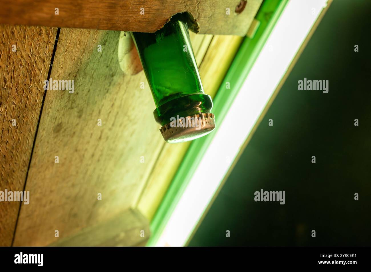 Champagne bottles on pupitre riddling racks in deep and long ...