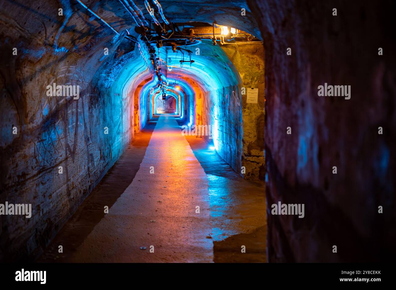 Visit of deep and long underground caves with dusty bottles on racks ...