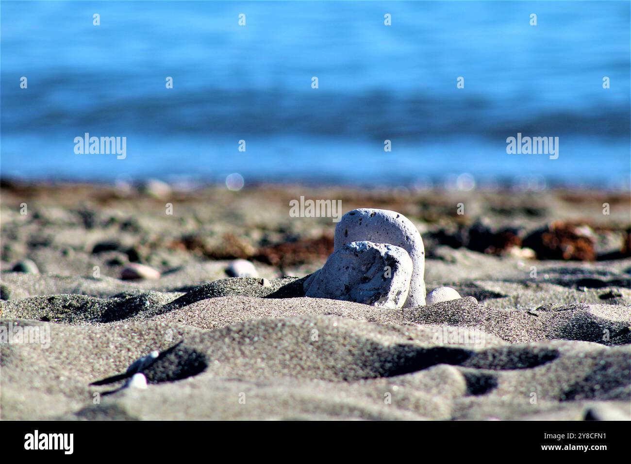 Rocks in the shore Stock Photo - Alamy