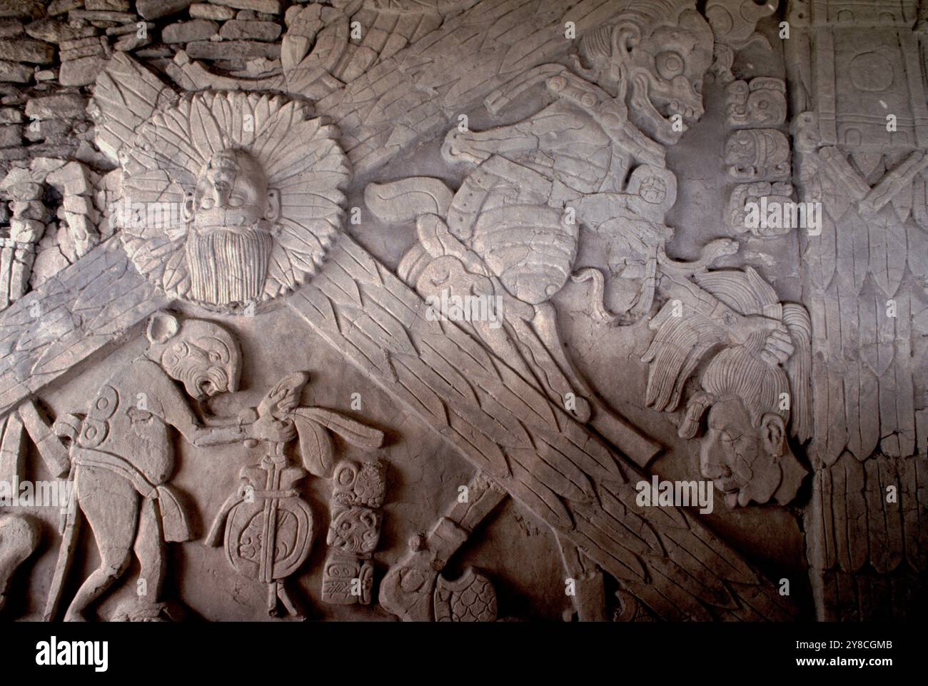 Tonina polity hi-res stock photography and images - Alamy