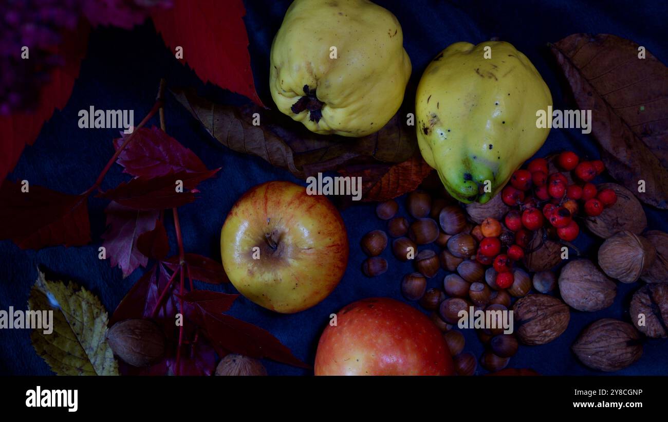 Various autumnal fruits Stock Photo - Alamy