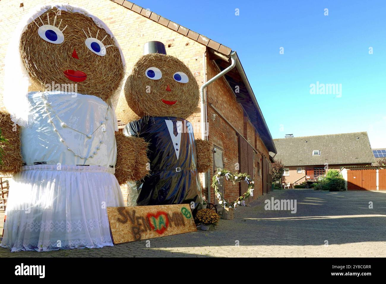 Pflanze auf dem dach hi-res stock photography and images - Alamy