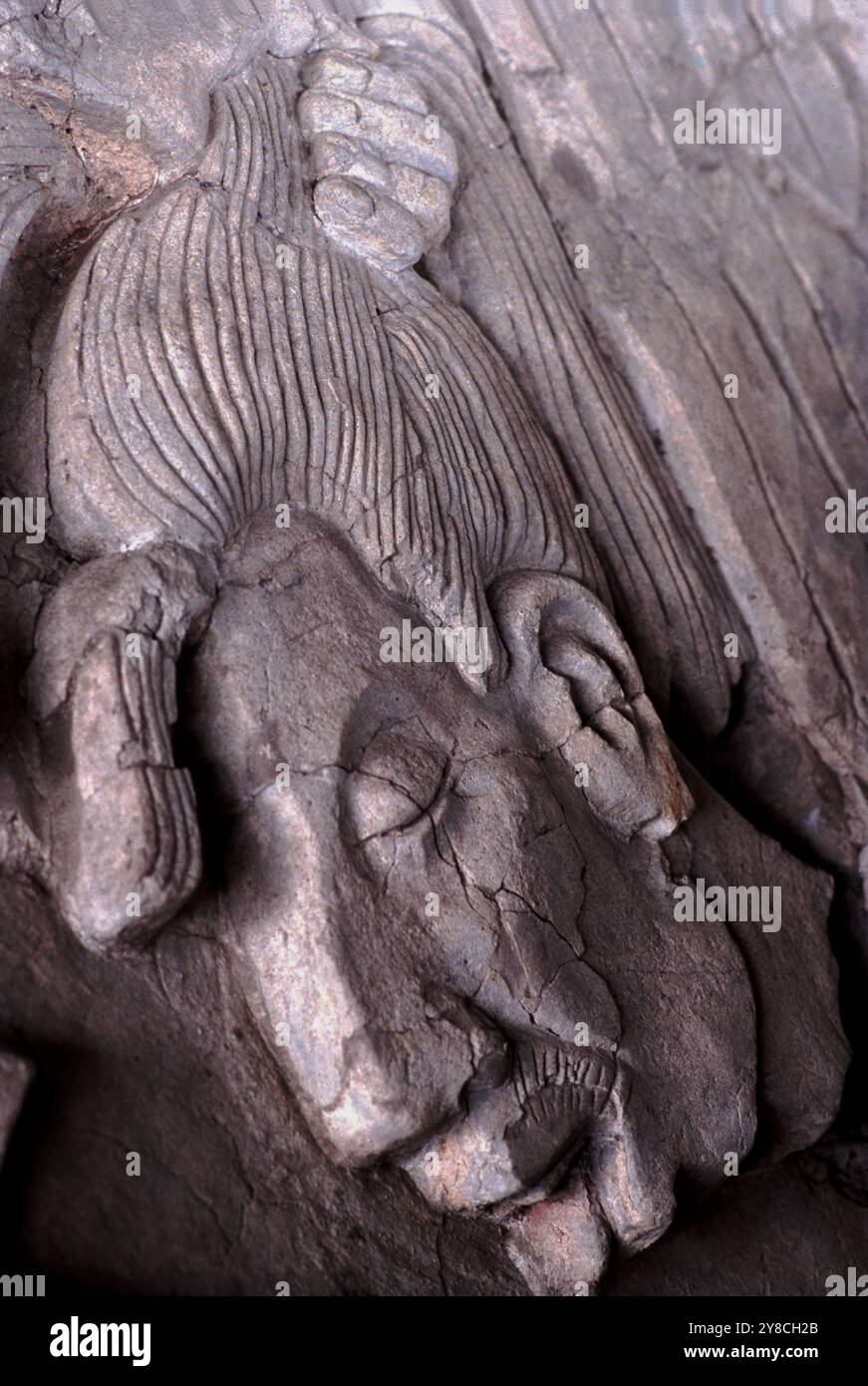 Warliketonina maya polity hi-res stock photography and images - Alamy