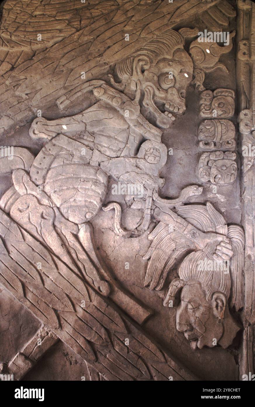 Tonina polity hi-res stock photography and images - Alamy