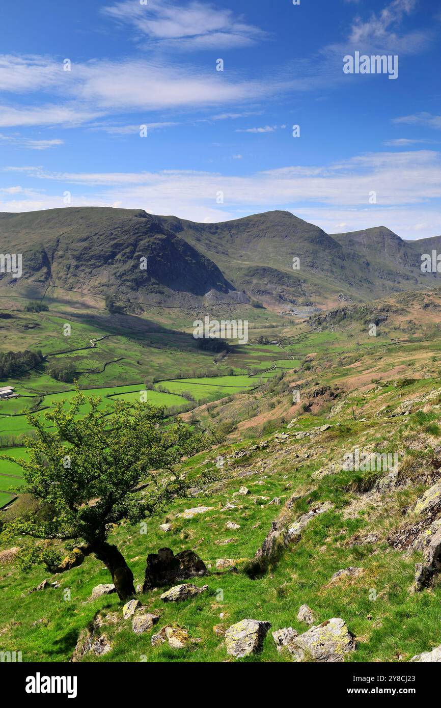 View over the Kentmere valley, Lake District National Park; Cumbria ...