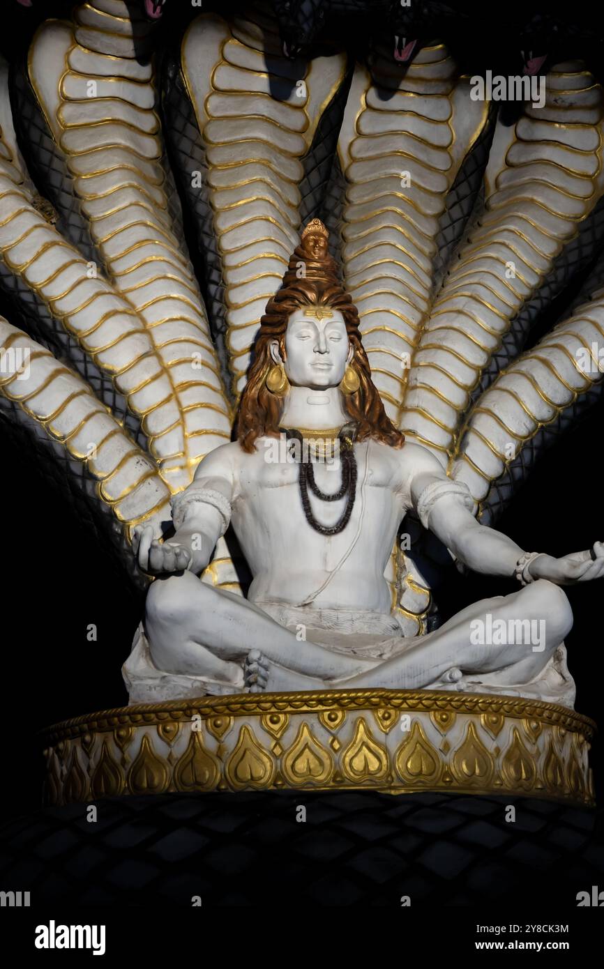 idol of hindu holy god lord shiva at outdoor from different angle image ...