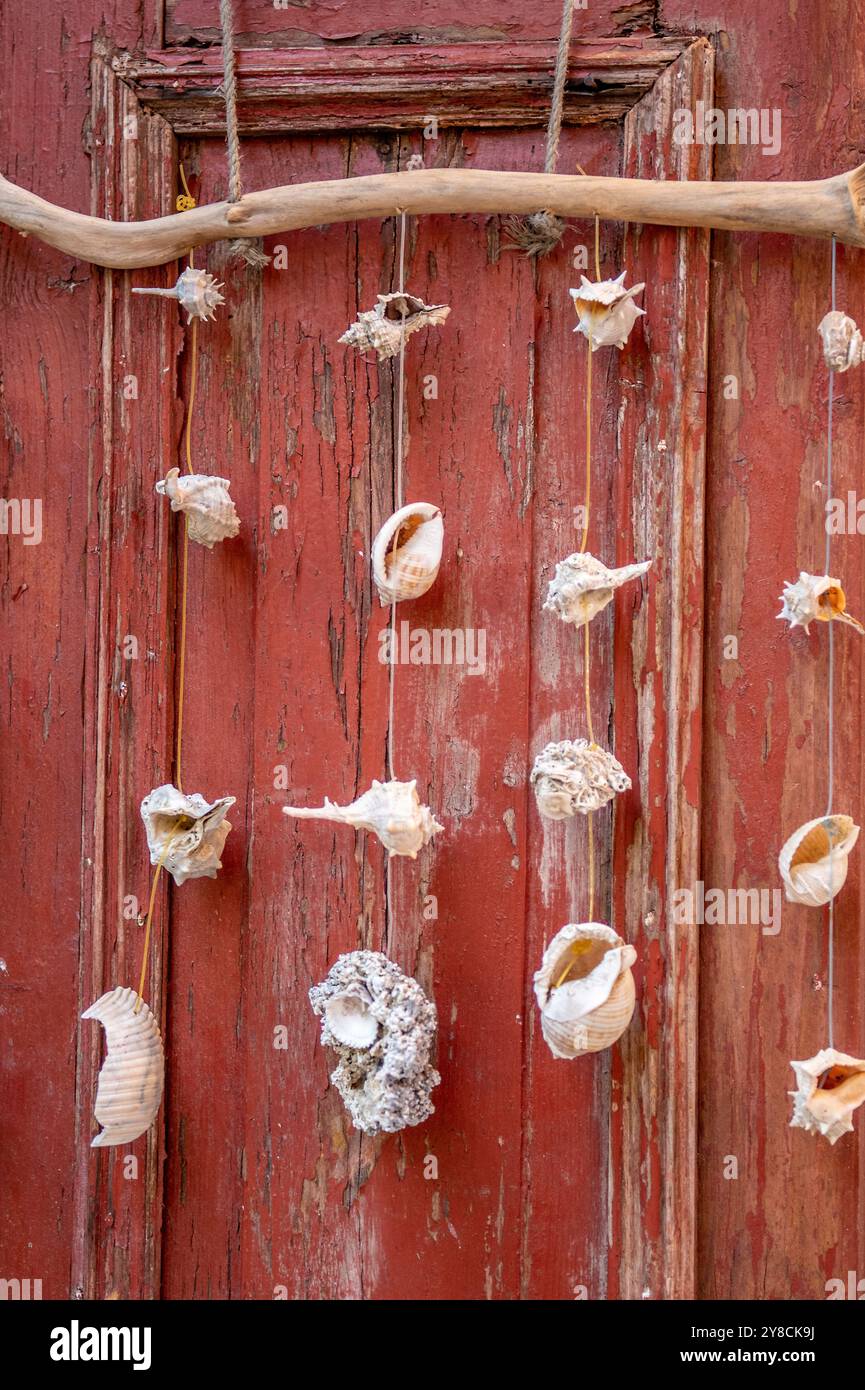 Coastal chic seashells in hi-res stock photography and images - Alamy