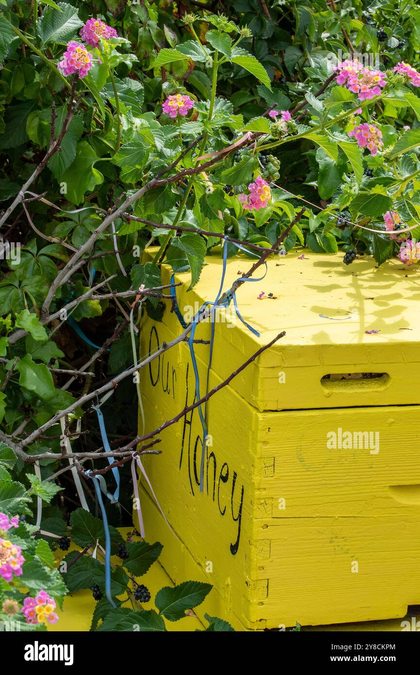 yellow painted wooden beehive under a bush with pink flowers, bees and ...