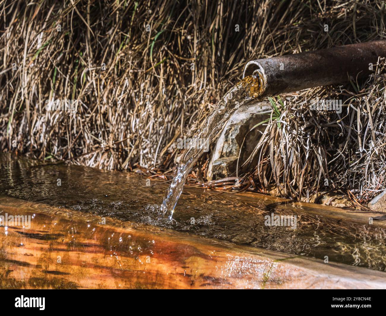 Clear mountain spring water flows from a pipe into a pool made of a ...