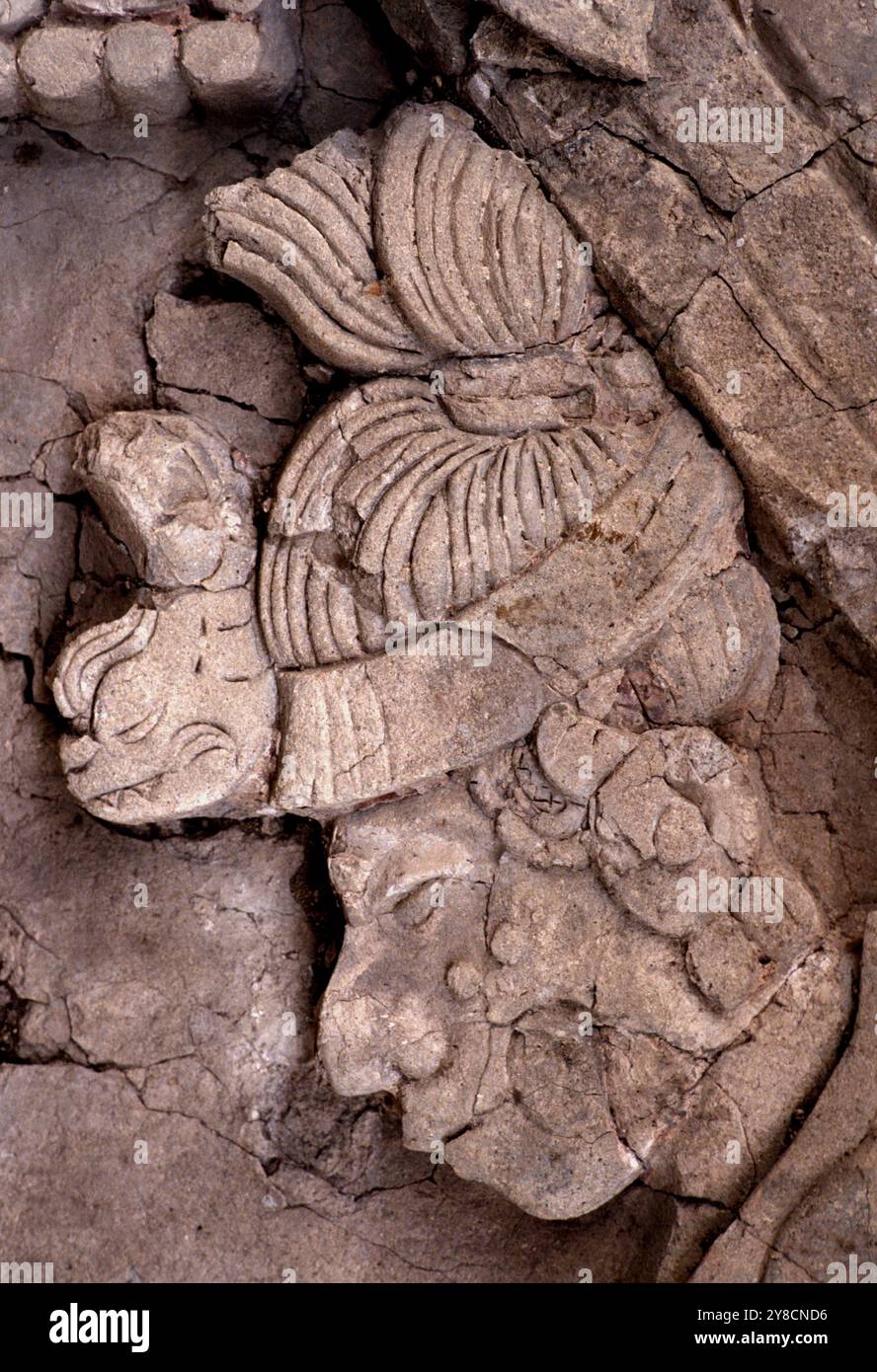 Severed head palenue lord hi-res stock photography and images - Alamy
