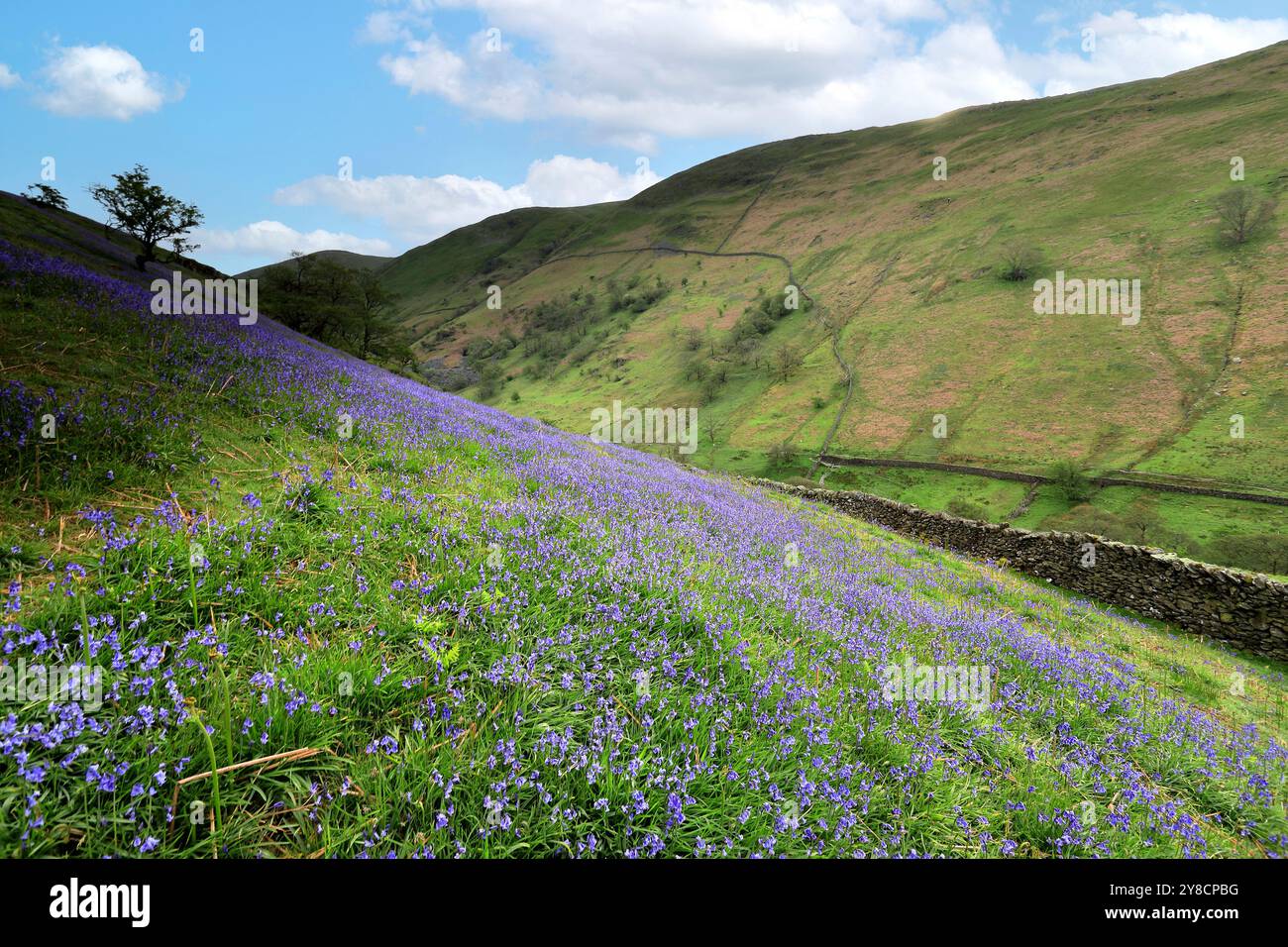 View over the Troutbeck valley, above lake Windermere, Lake District ...