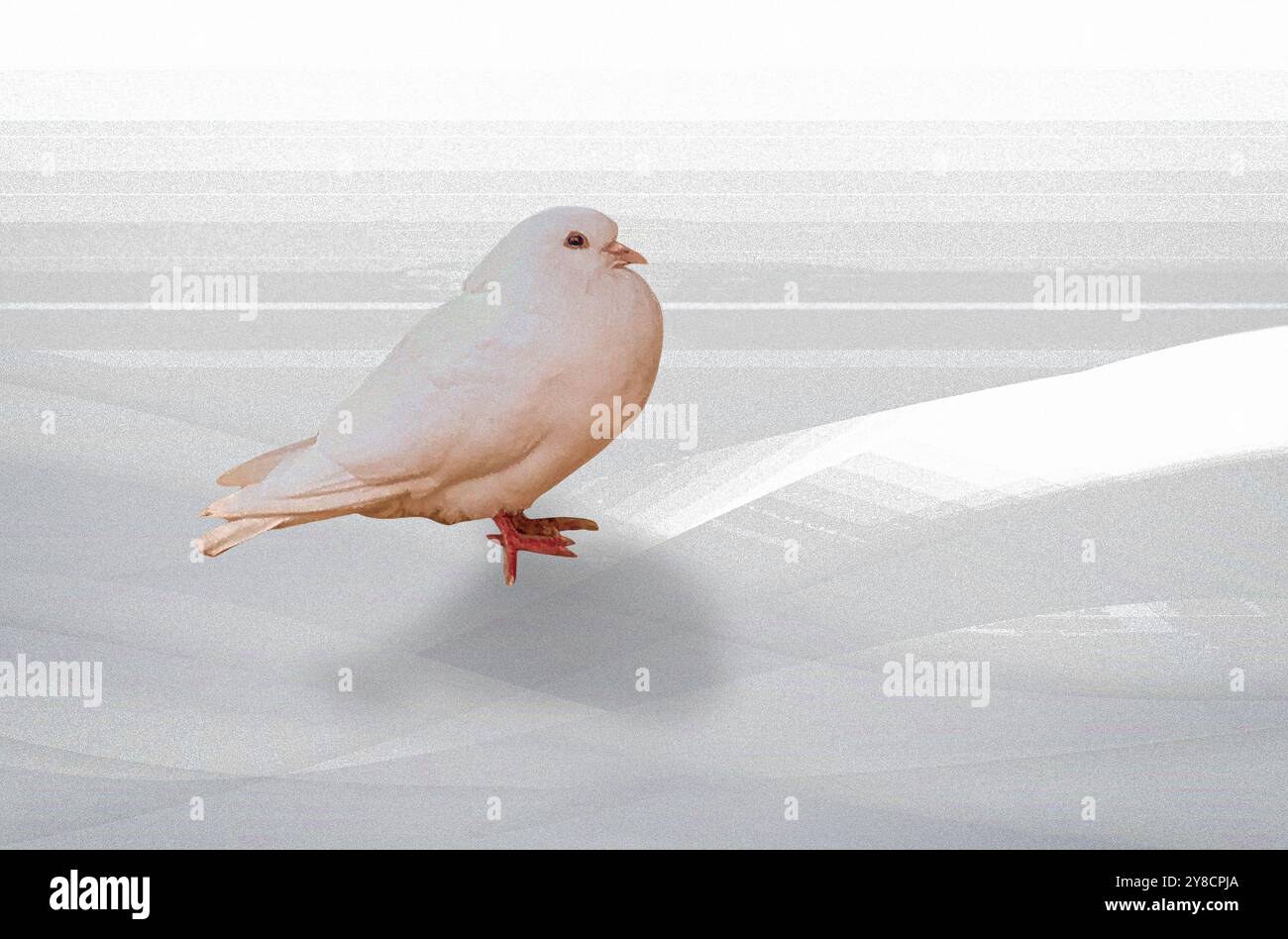 Holy spirit white dove hi-res stock photography and images - Alamy