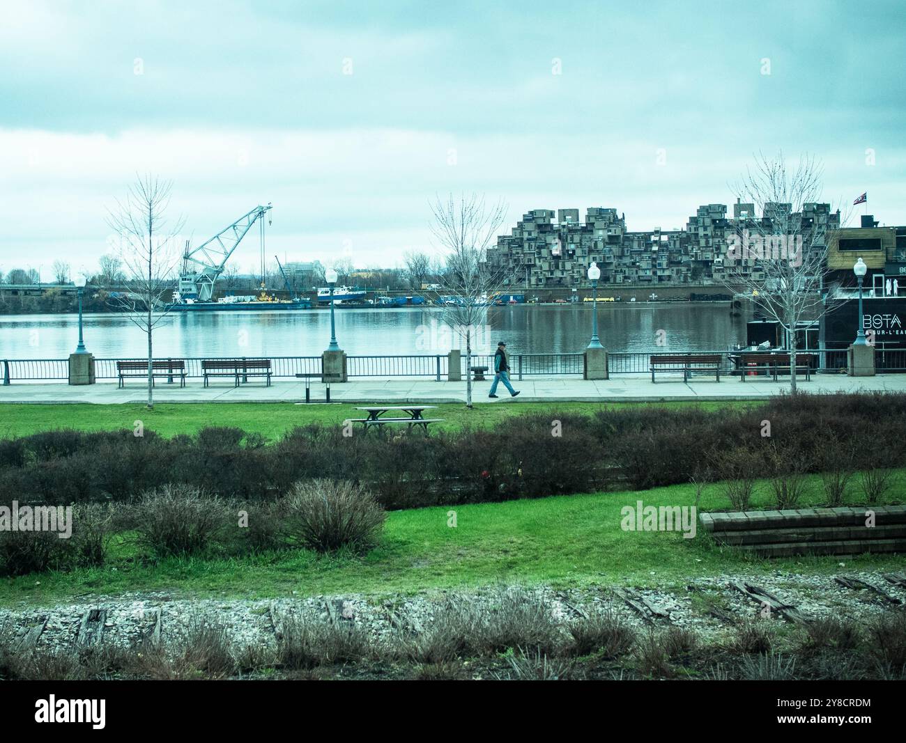 Man walking on the promenade of the St Lawrence river with the unique ...