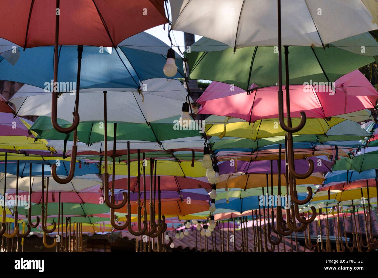 A colorful array of umbrellas hanging from the ceiling. The umbrellas ...