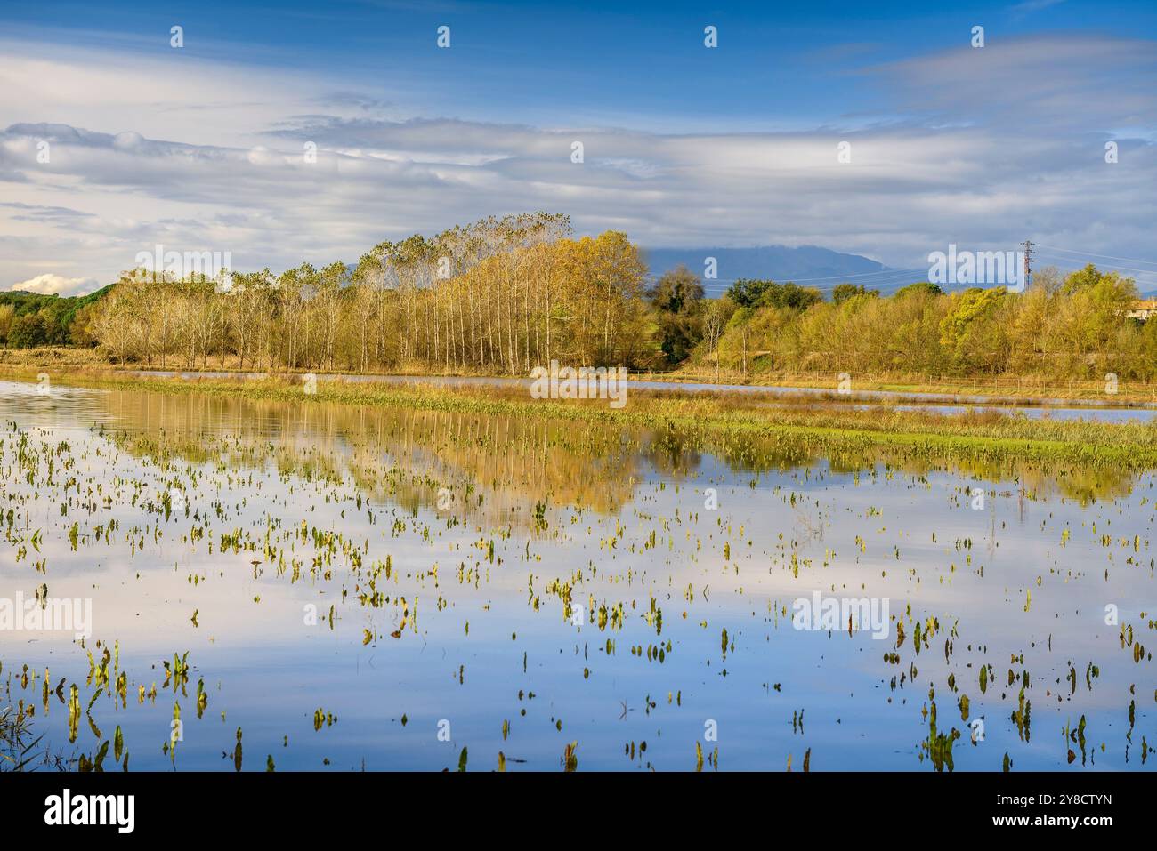 Estanques lago hi-res stock photography and images - Alamy