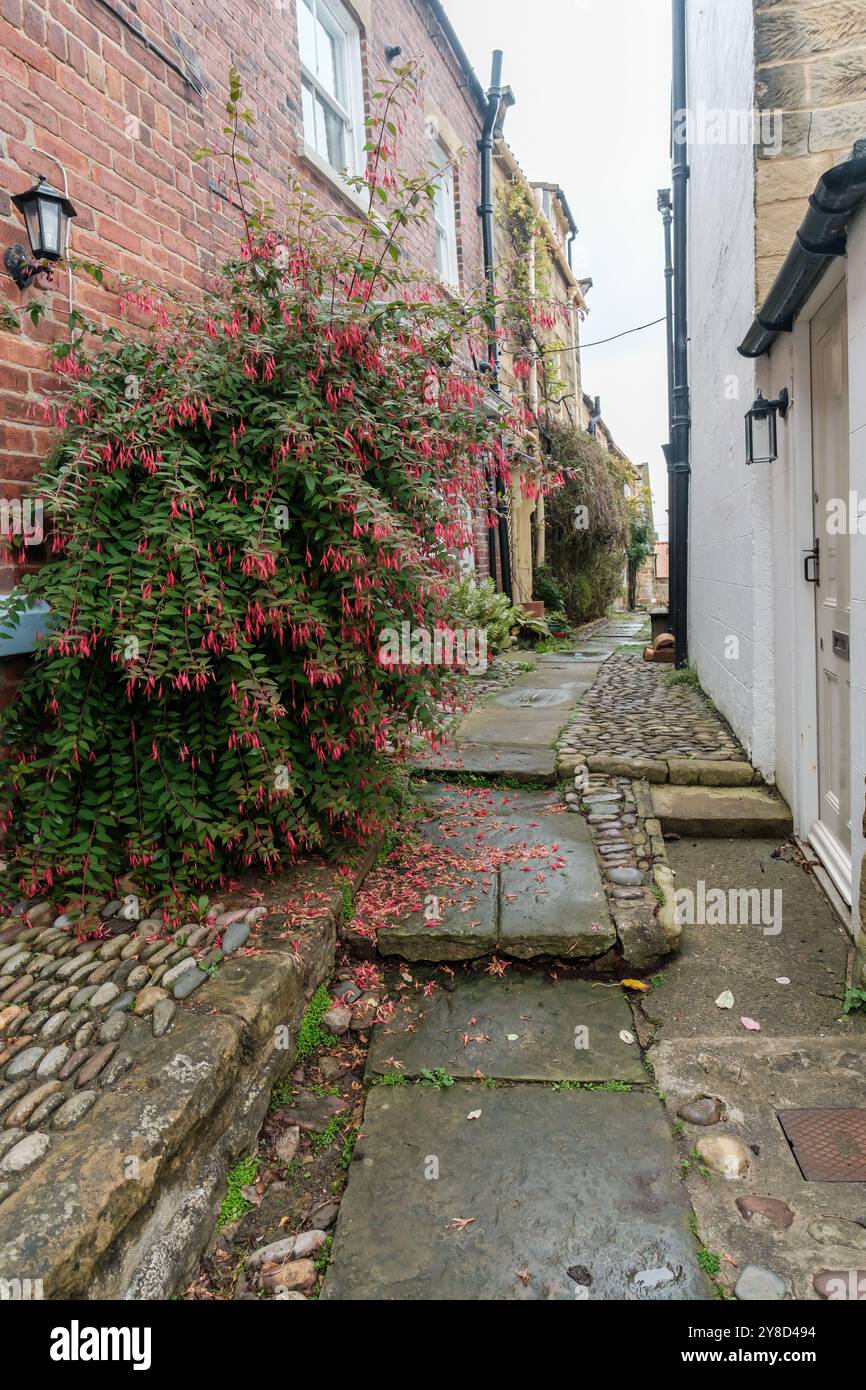 Narrow alley between the houses Stock Photo - Alamy