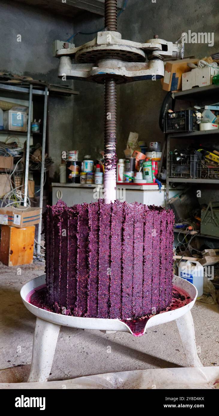 Grape skin/husk left in a Grape Press after squeezing, inside a garage ...