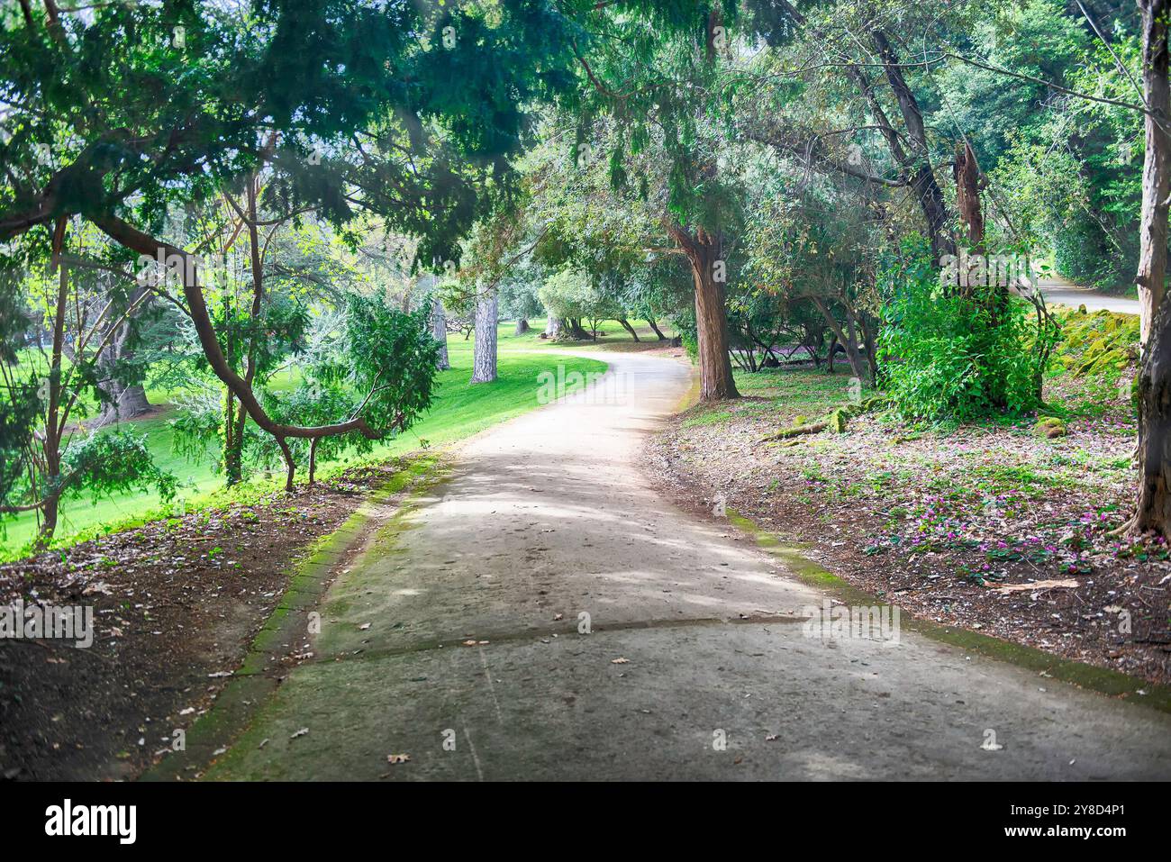 Tranquil pathway meanders hi-res stock photography and images - Alamy
