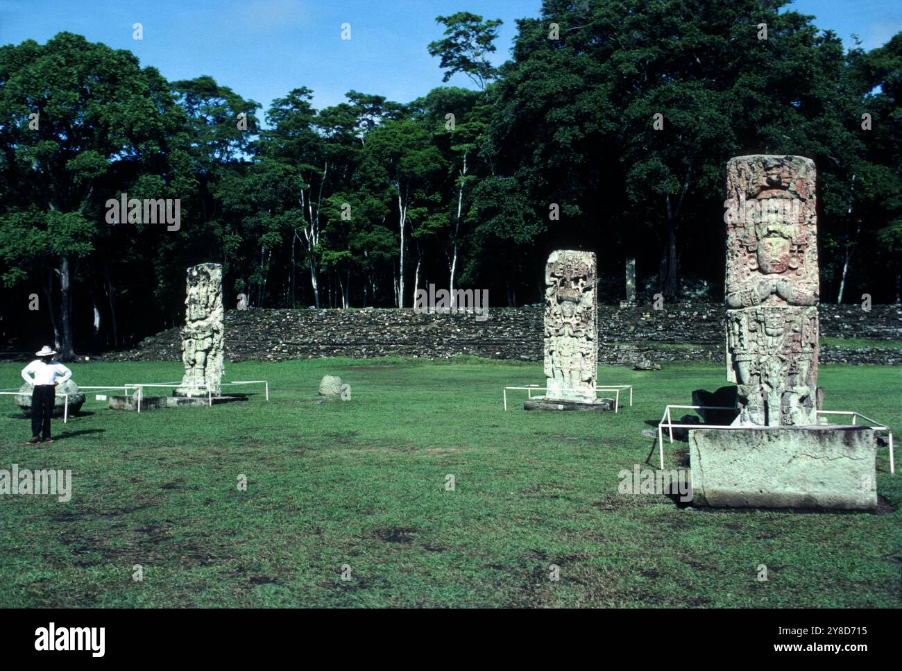 Late Classic period Maya stelae at Copan Maya ruins, Honduras Stock ...