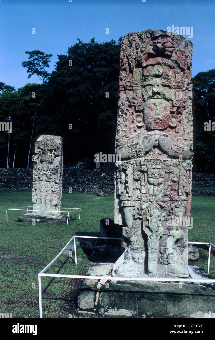 Late Classic period Maya stelae at Copan Maya ruins, Honduras Stock ...
