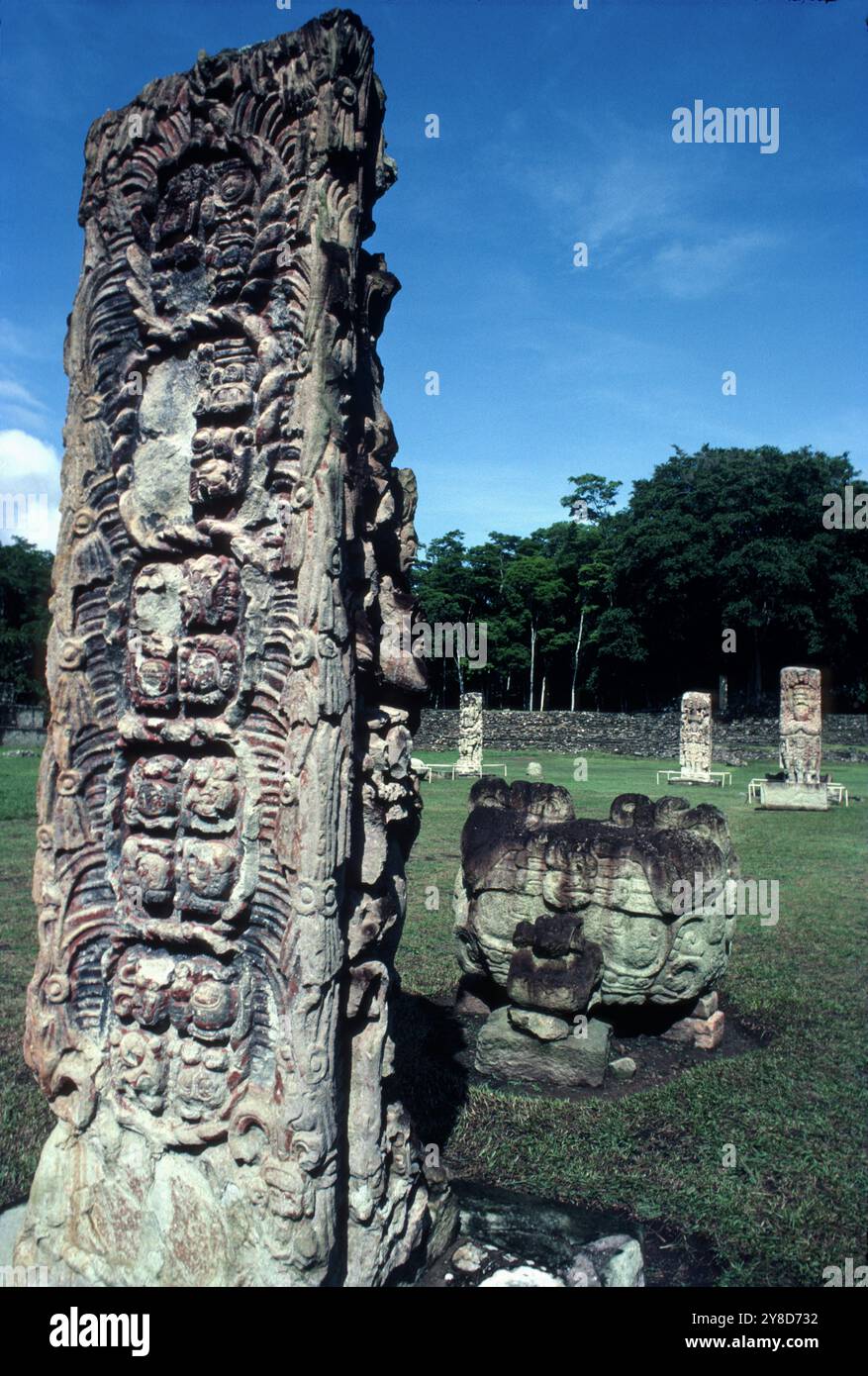 Late Classic period Maya stelae at Copan Maya ruins, Honduras Stock ...