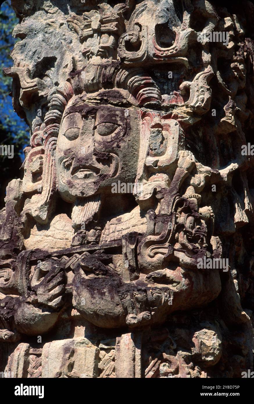 Late Classic period Maya stelae at Copan Maya ruins, Honduras Stock ...