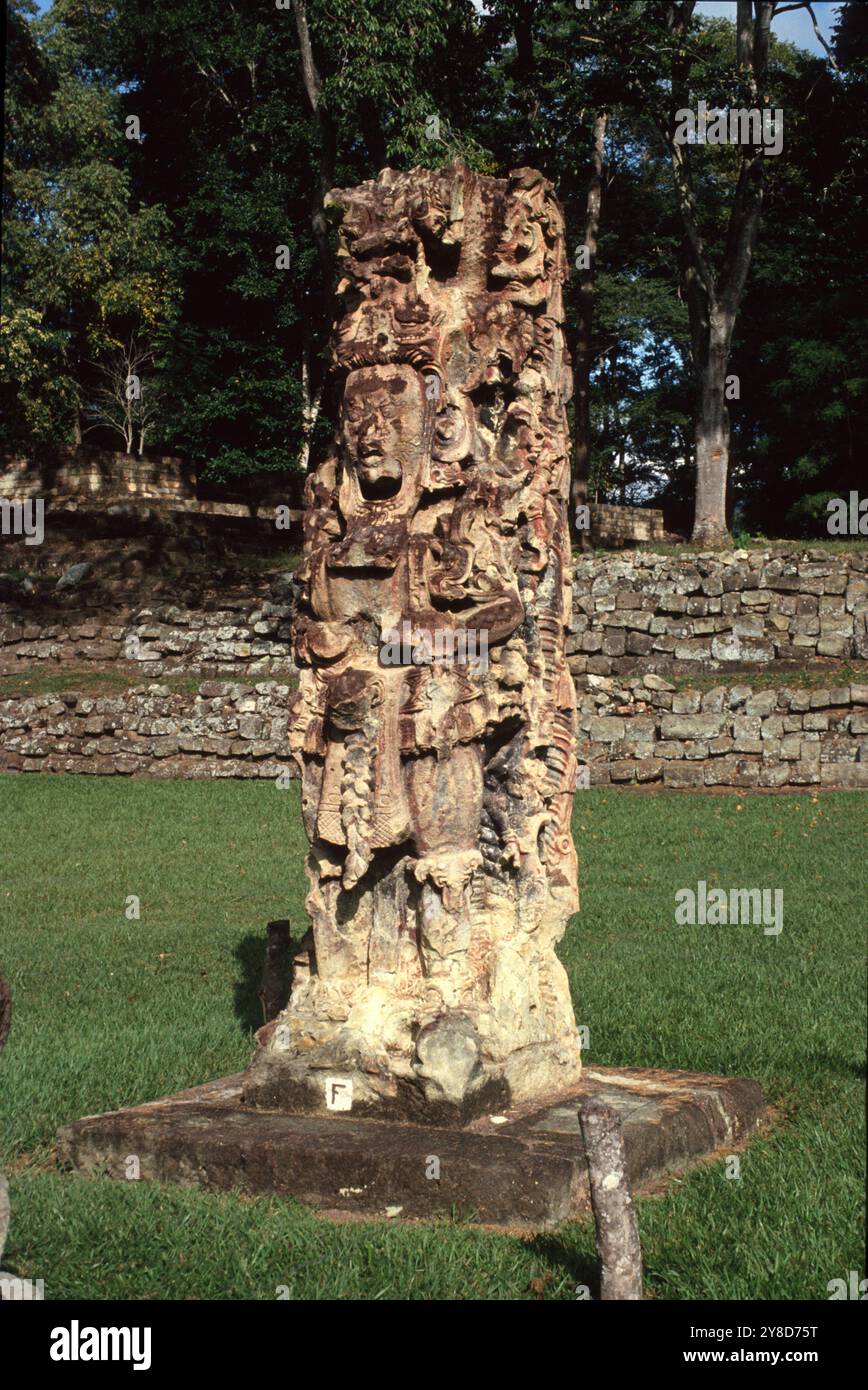 Late Classic period Maya stelae at Copan Maya ruins, Honduras Stock ...