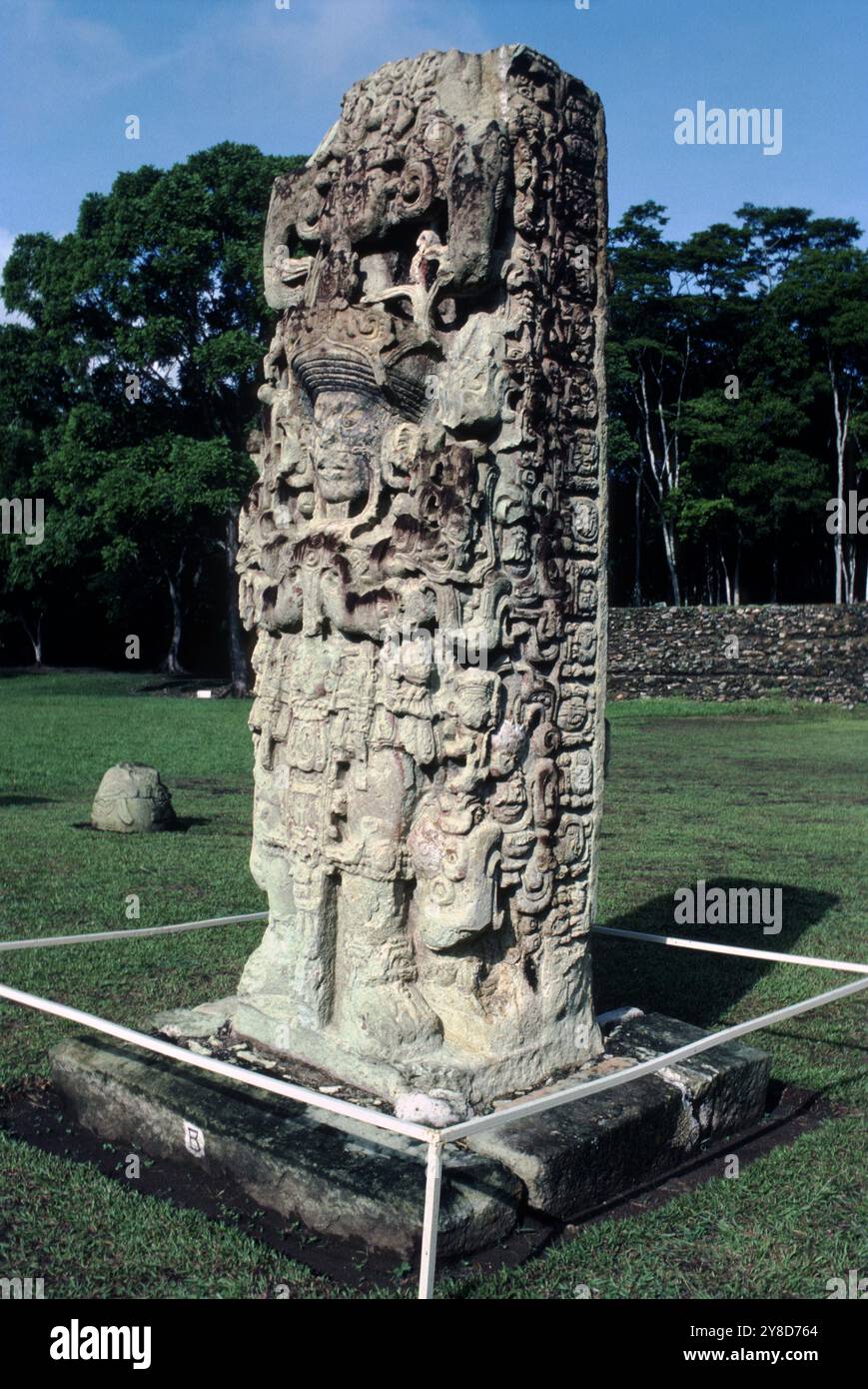 Late Classic period Maya stelae at Copan Maya ruins, Honduras Stock ...
