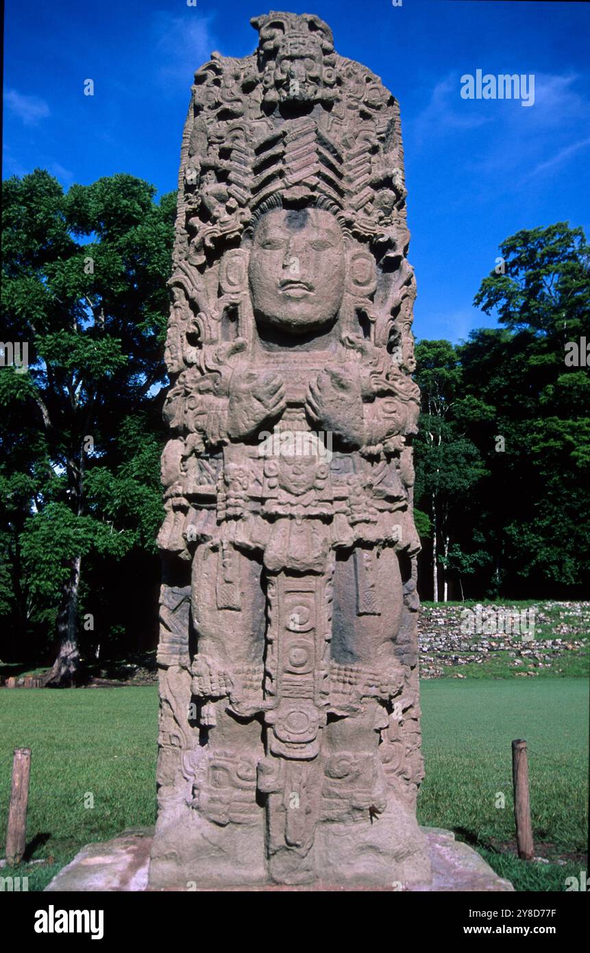 Late Classic period Maya stelae at Copan Maya ruins, Honduras Stock ...